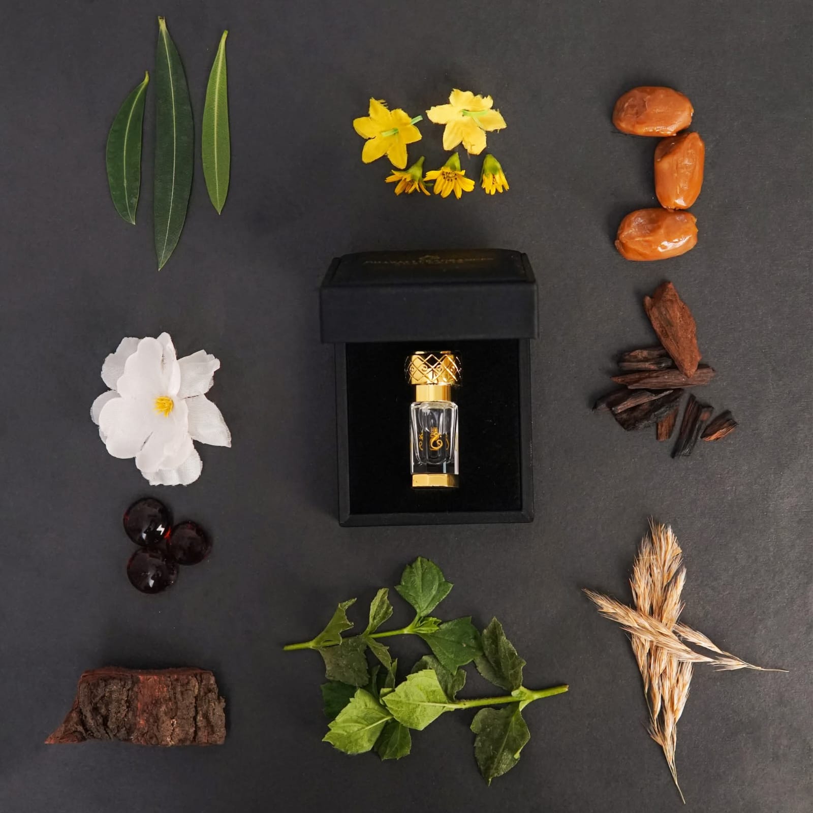 Unisex Best Sellers | Top Fragrance Oils & Attars – Ghazali – Ghazali ...